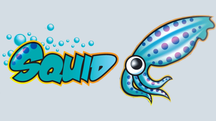 How to Set Up & Configure Squid HTTPS Proxy on Ubuntu, Windows, & Linux ...
